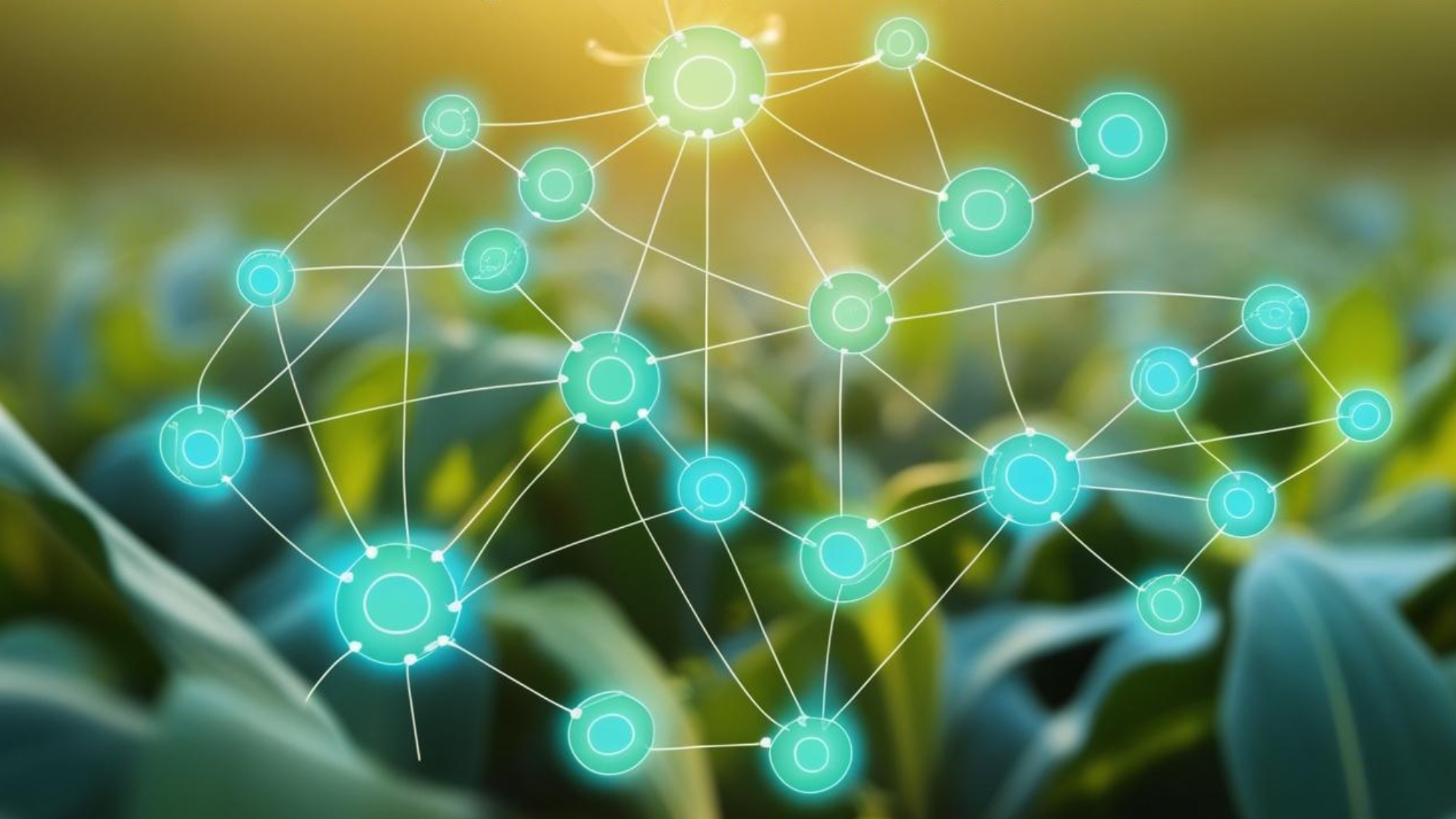 Computomics - An Overview of Foundation Models in Plant Breeding
